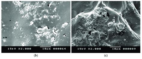 SEM Micrographs Of Binders A Base B HDPE Modified And C Download Scientific Diagram