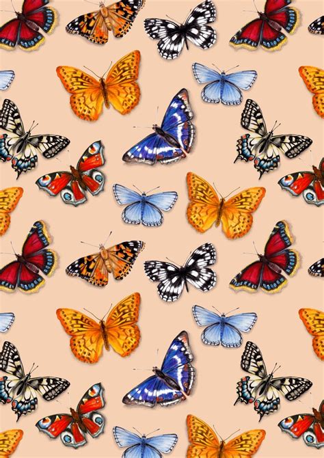 Many Different Colored Butterflies On A Pink Background