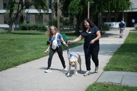 7 Common Accessibility Errors On Websites And How To Fix Them Helen Keller Services