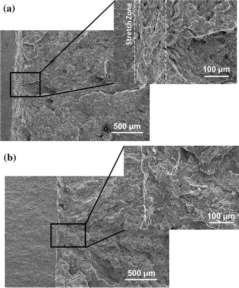 Sem Micrographs Of Fracture Surfaces Of Low Constraint Specimens