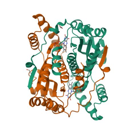 Rcsb Pdb 6czp 22 Angstrom Resolution Crystal Structure Oxygen Insensitive Nadph Dependent