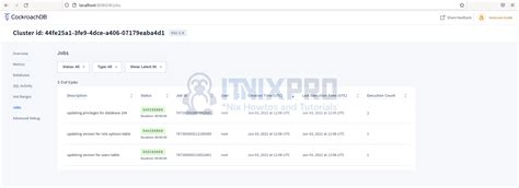 Install CockroachDB On Debian 11 Itnixpro