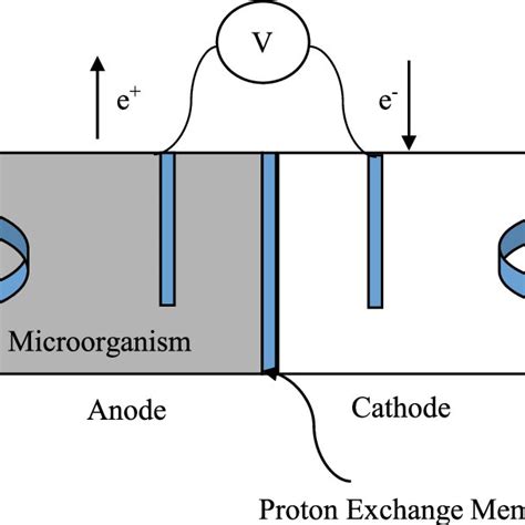 schematic diagram of simple mfc source from he et al [15] download scientific diagram