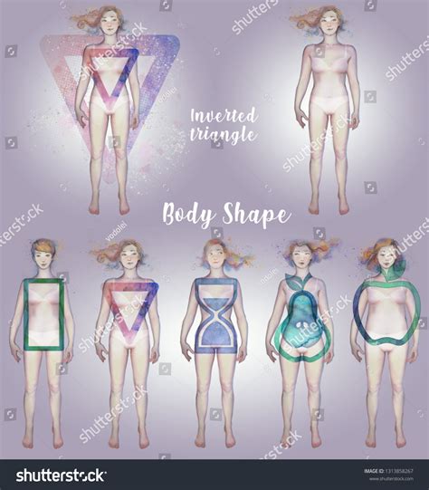 Female Body Shape Inverted Triangle Stock Illustration Shutterstock