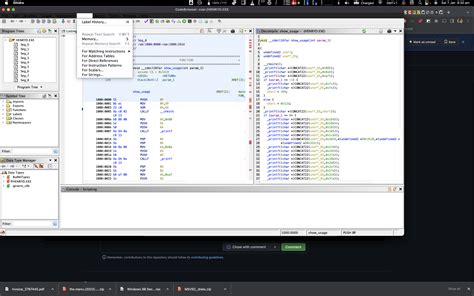 Display Strings In The Decompiler Window · Issue 4865