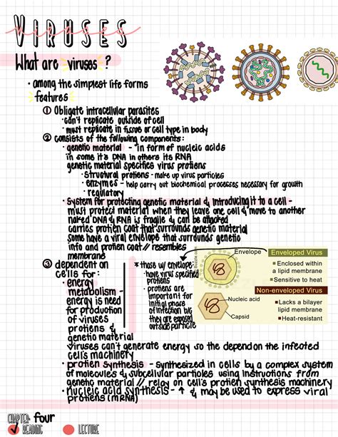 BIO Lecture Notes Virus Chapter Minuses Whatare Viruse Among The Simplest Life Forms I
