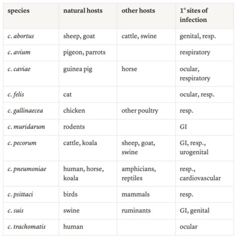 Chlamydia Repro Flashcards Quizlet