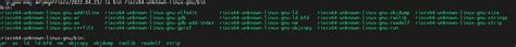 riscv64 linux gnu gcc not found after building on centos linux release
