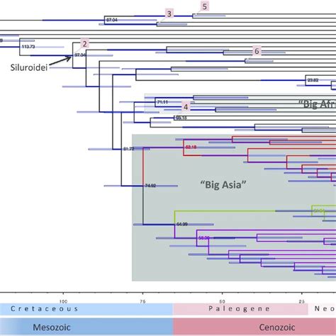 Chronogram Derived From The Bayesian Relaxed Clock Analysis Using The Download Scientific
