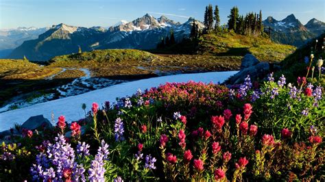 Spring Screensavers And Wallpaper 48 Images
