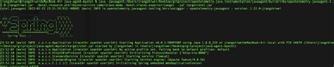 深入opentelemetry源代码：java探针的实现和二次开发 编程语言 蒋志伟 infoq精选文章