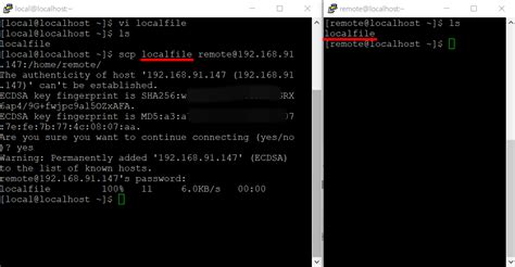 리눅스 Scp 명령어 사용법 서버 간 파일 전송