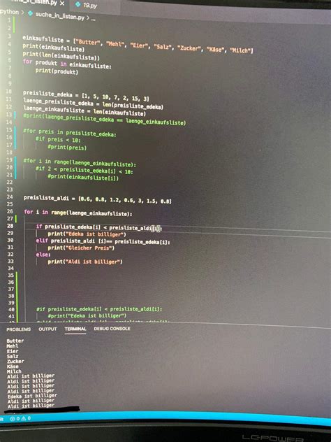Python Listen Programmieren