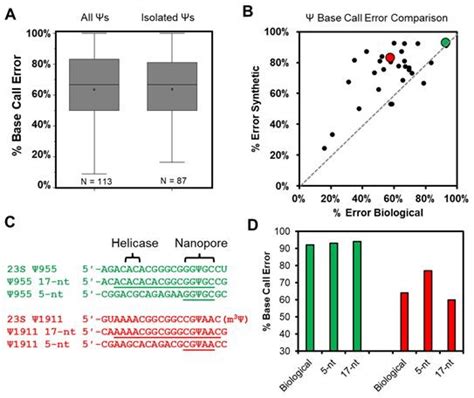 The Base Call Error Profile For Ψ In Cellular Rrna And Synthetic Rna