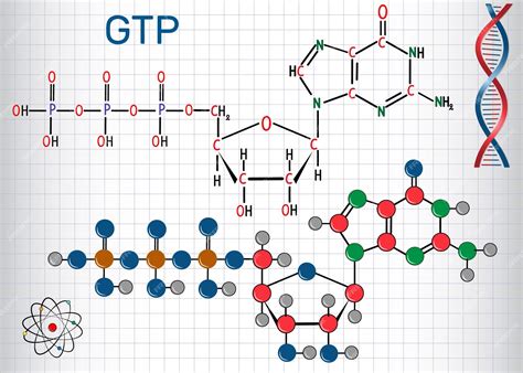 Premium Vector Guanosine Triphosphate Gtp Molecule Structural Chemical Formula And Molecule Model