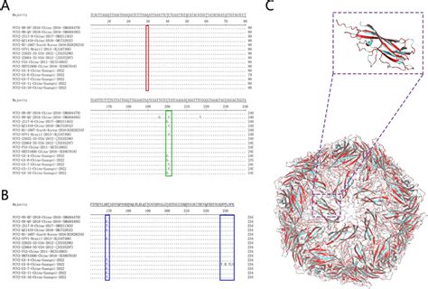 Homology Analysis Of Cap Nucleotide And Amino Acid Sequences Of The Download Scientific Diagram