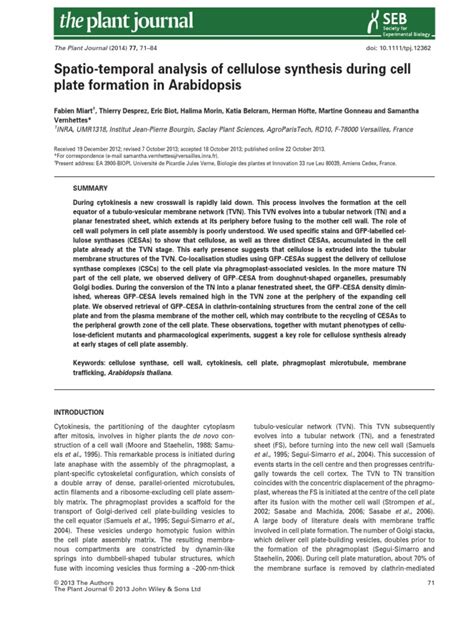 Pdf Spatio Temporal Analysis Of Cellulose Synthesis During Cell Plate