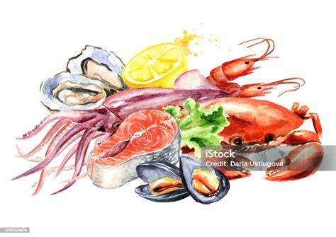 해산물 구성 수채화 손으로 그린 그림을 흰색 배경에 고립 수채화에 대한 스톡 벡터 아트 및 기타 이미지 수채화 해산물