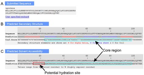 Predicting Protein Structure And Function With I Tasser Protocol