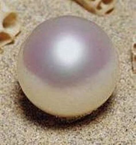 Worlds Largest Pearl