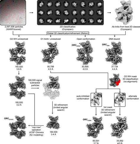 Figures And Data In The Dynamic Nature Of The Human Origin Recognition