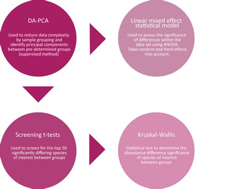2 Workflow Diagram Of The Statistical Tests Used To Determine