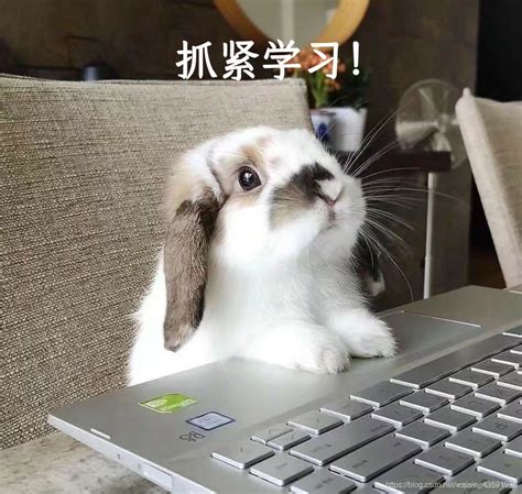 Mysql 数据库的约束与表的设计设计系统的数据库使用的表表的约束字段类型长度等 Csdn博客 Mysql 数据库的约束与表的设计设计系统的数据库使用的表表的约束字段类型长度等 Csdn博客