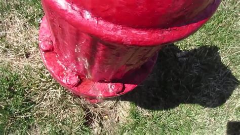 19yo Pisser Public Piss On A Fire Hydrant