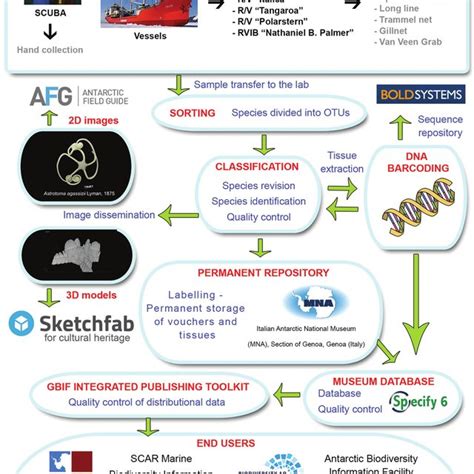 Flowchart Depicting Major Steps In Dataset Development And Publishing