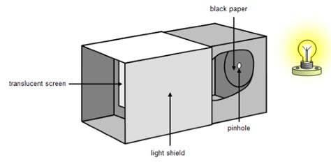 CBSE Class Science Notes Chapter Light Shadows And Reflections Study Path