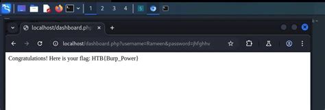 Ctf Cybersecurity Burpsuite Techhierarchy Rameen Mughal