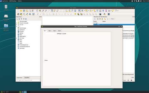 Cannot Load Pictures Anymore In Custom Forms · Issue 30833 · Qgisqgis · Github