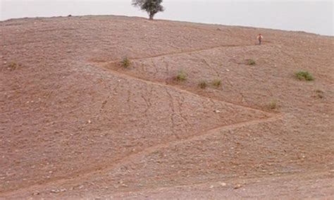 Film International Iranian Film Quarterly