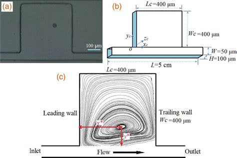 Geometry Of The Microfluidic Chip A Snapshot Of A 400 × 400 µm²