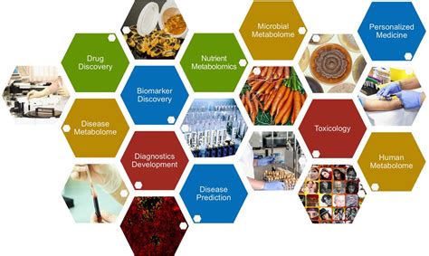 Metabolomics Research Introduction Applications Sample Types And Handling