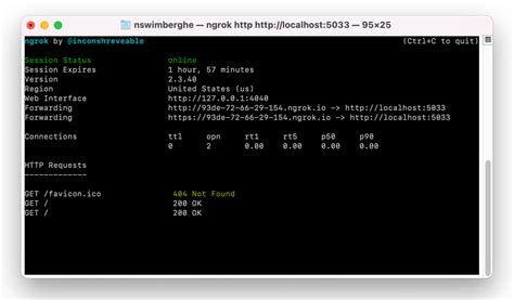 Integrate Ngrok Into Aspnet Core Startup And Automatically Update Your