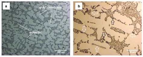 Optical Micrographs Of The As Cast A354 Alloy A Dendritic Structure Download Scientific