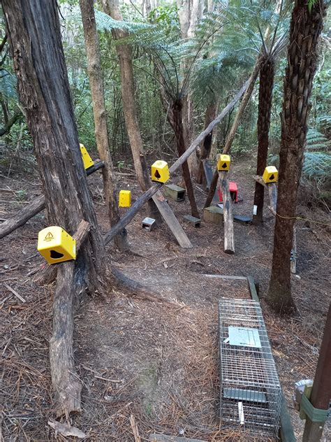 timms trap baits trap nz forums