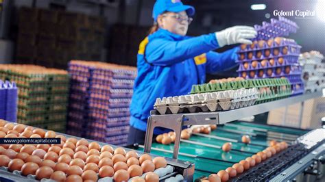 Голомт Капитал ҮЦК ХХК