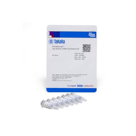 PrimeScript st strand cDNA Synthesis Kit rxns HLB바이오스텝 B B MALL