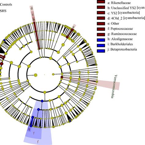 Phylogenetic Dendrogram Of Biomarker Bacteria Between Shs And Control