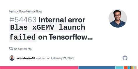 Internal Error `blas Xgemv Launch Failed` On Tensorflow V280 For The