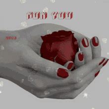 Qw Qw Discover Share Gifs