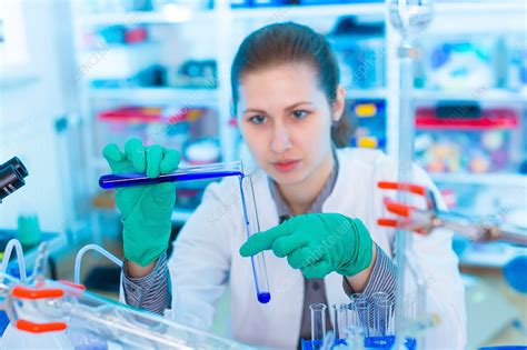 Scientist Pouring Liquid Into Test Tube Stock Image F0183398