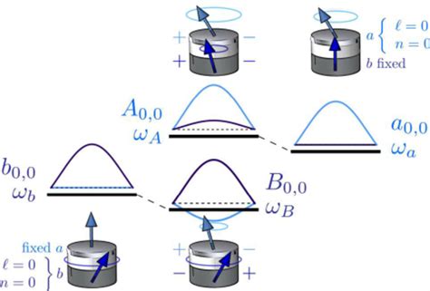 Color Online Schematic Representation Of The Coupled Dynamics Between Download Scientific