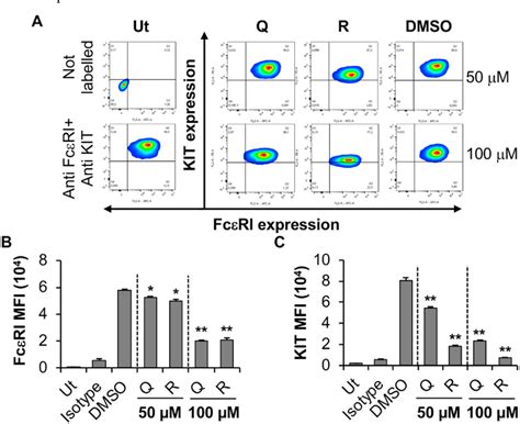 Pdf Quercetin And Resveratrol Differentially Decrease Expression Of The High Affinity Ige