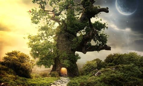 Descriptive Writing Bundle Teaching Resources