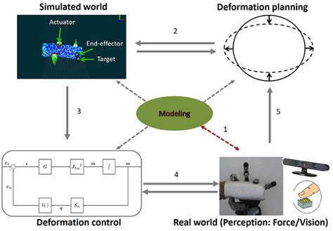 Frontiers Modeling Of Deformable Objects For Robotic Manipulation A Tutorial And Review