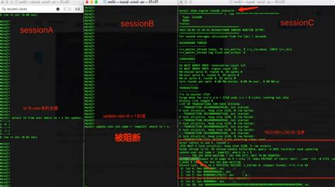 Mysql数据锁：record Lock，gap Lock 和 Next Key Lock 阿里云开发者社区