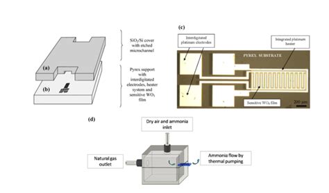 Microfluidics In Gas Sensing Encyclopedia Mdpi